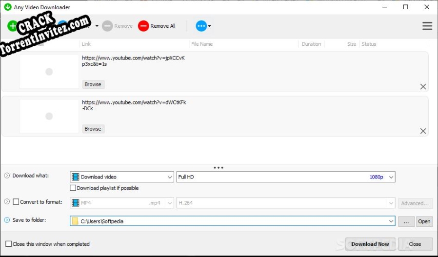 Any Video Downloader activation key » Download