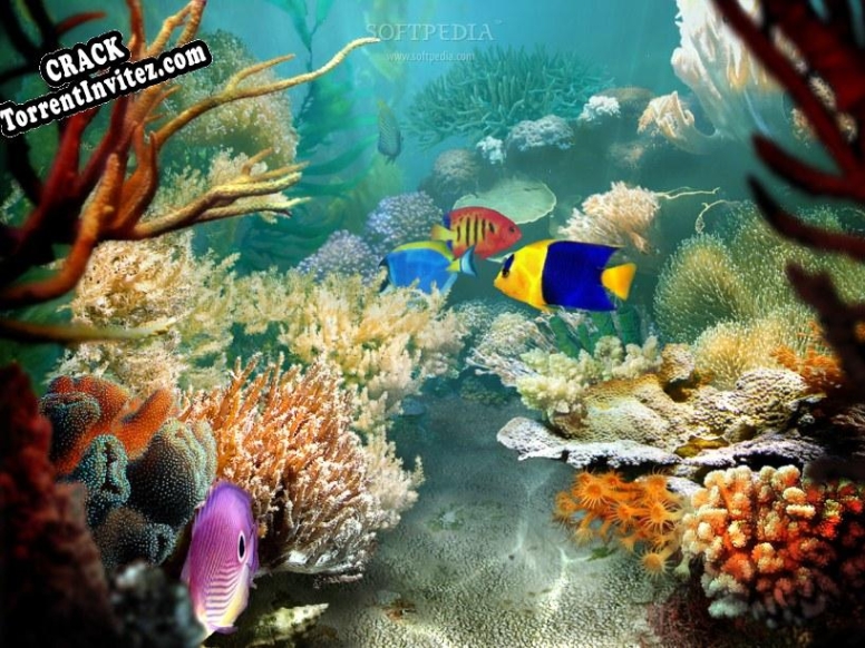 Tropical Fish 3D Screensaver serial number generator » Download