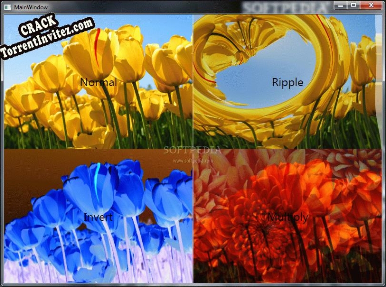 Registration Key For The Program Wpf Shader Effects Download